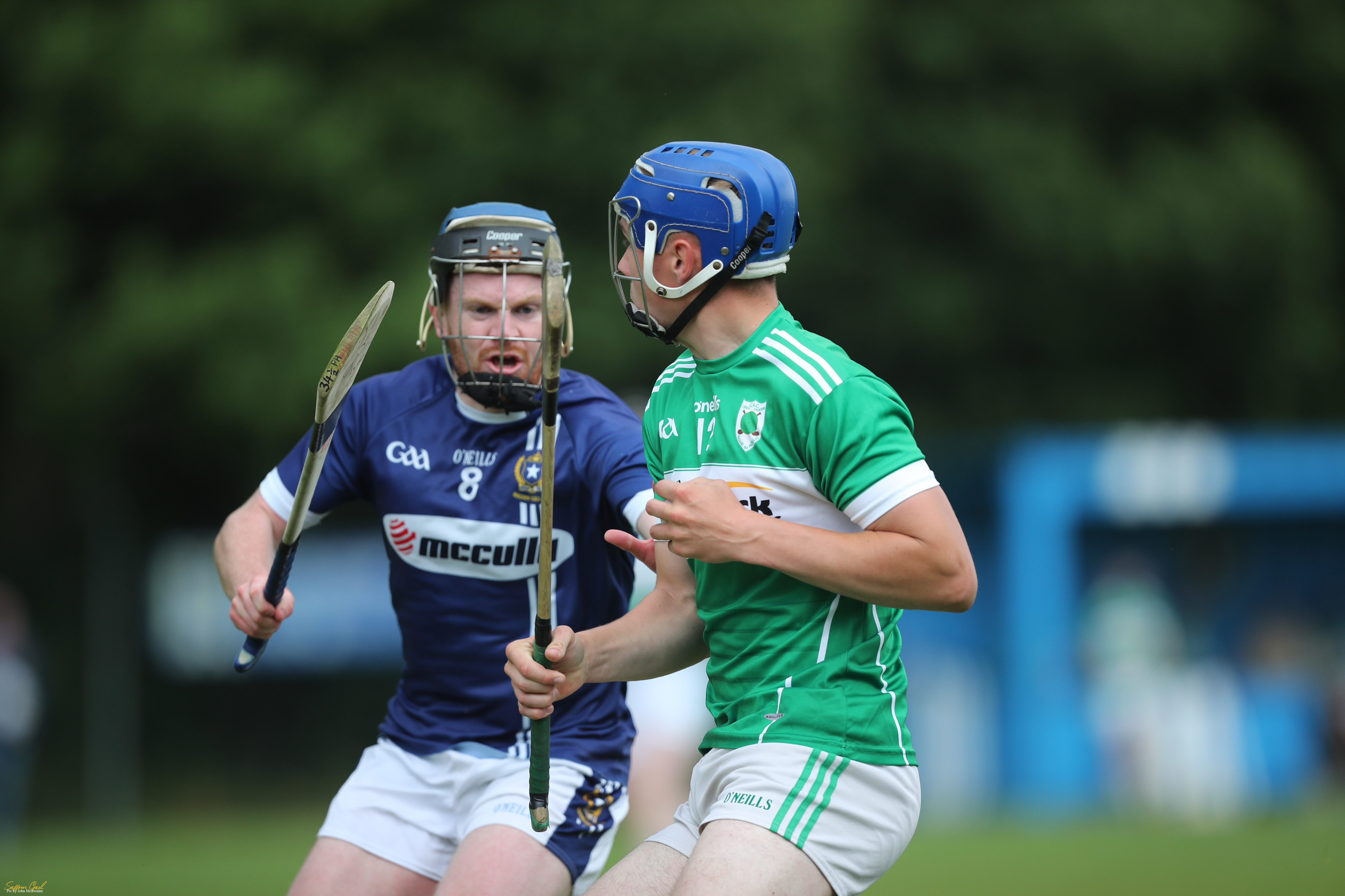 St Gall’s dominant in win over Carey Faughs | The Saffron Gael