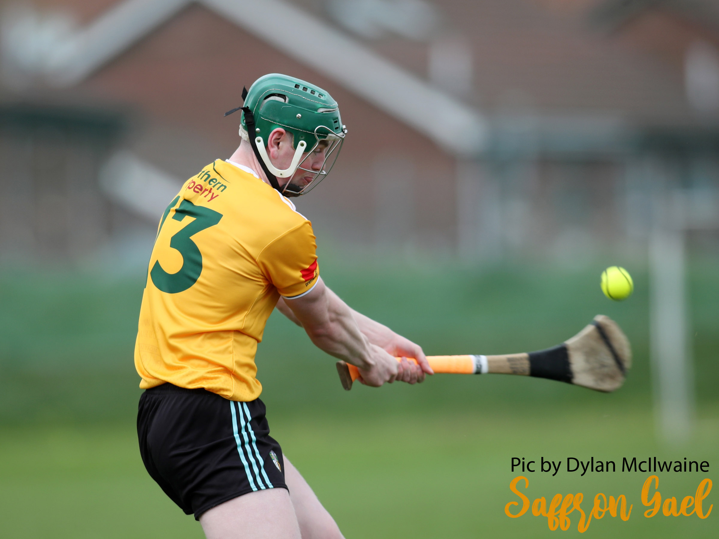 dYLAN PICS — 4 | The Saffron Gael