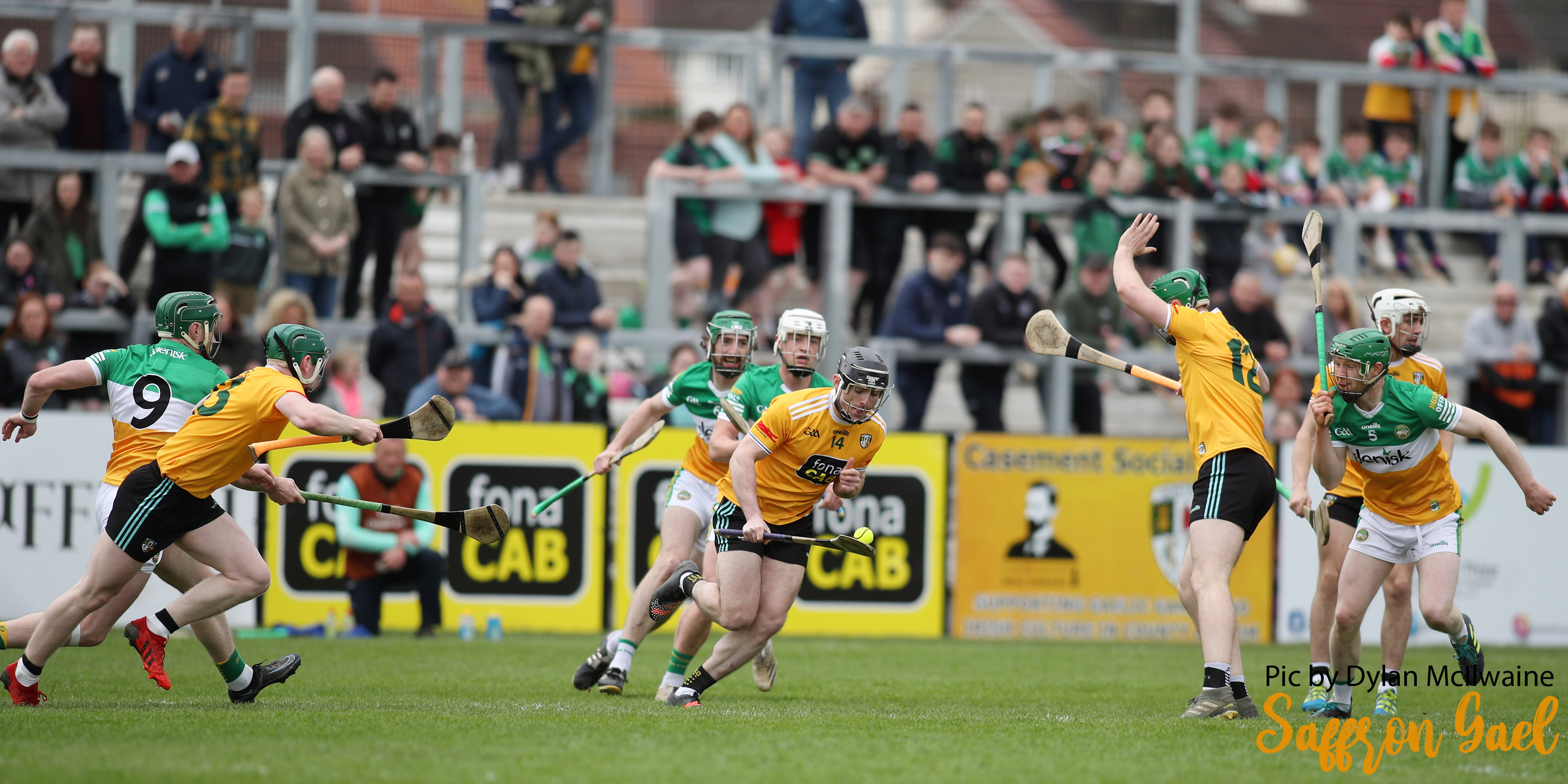 dYLAN PICS — 5 | The Saffron Gael