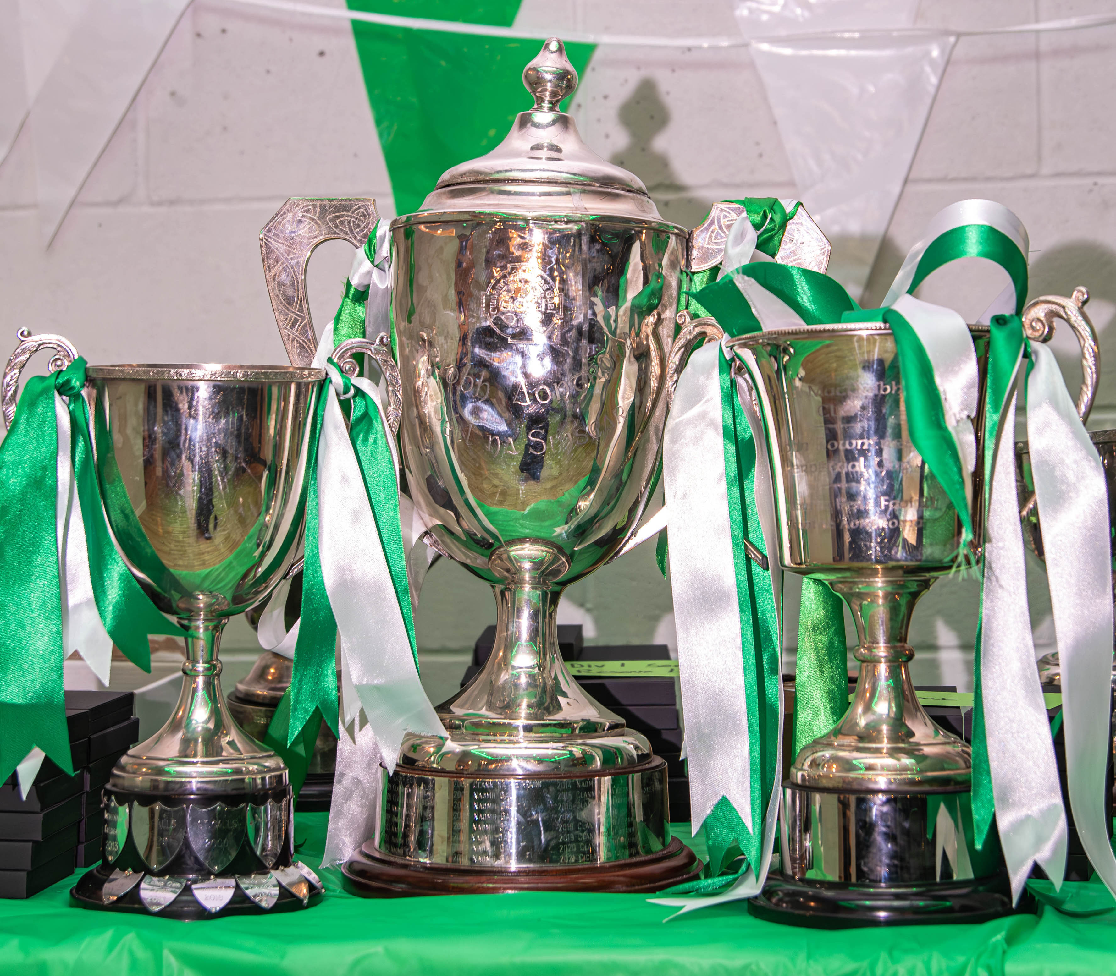 Cargin remain on the trail of the O’ Cahan Cup | The Saffron Gael