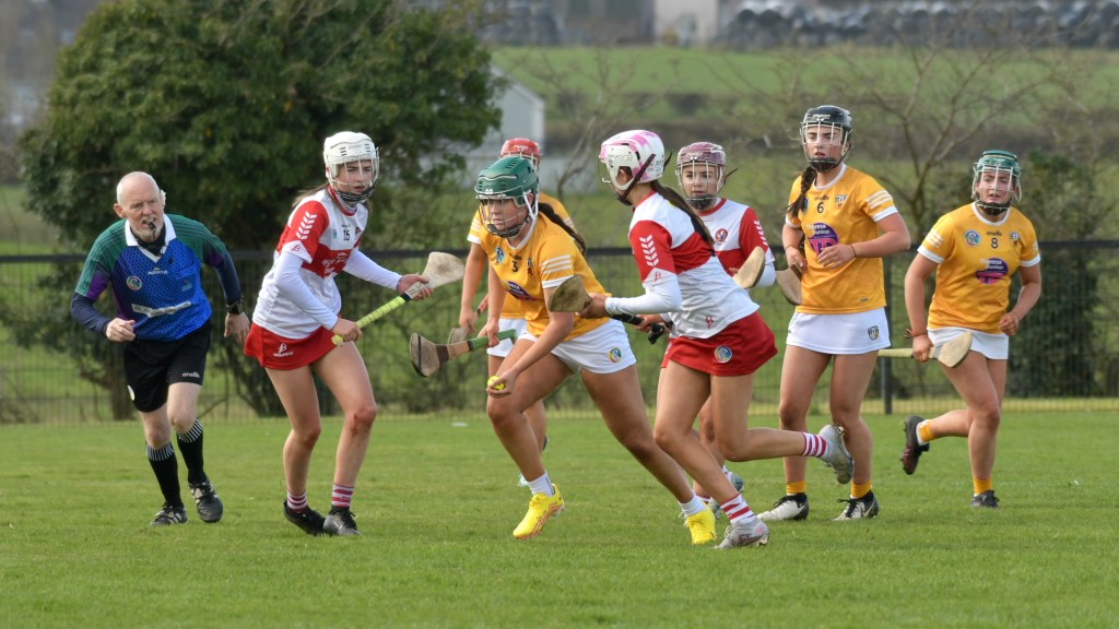 Antrim regain the Ulster Camogie Cup from Derry | The Saffron Gael